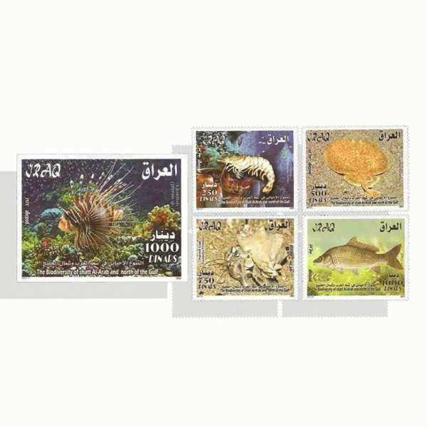 Shop | Numismatics Store