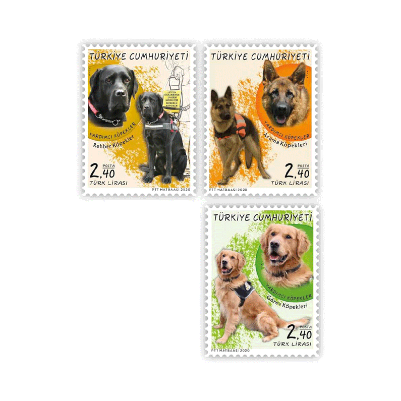 Shop | Numismatics Store